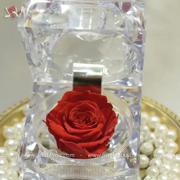 Mini Rose in Acrylic Box | Just 4 You Surprise Planners
