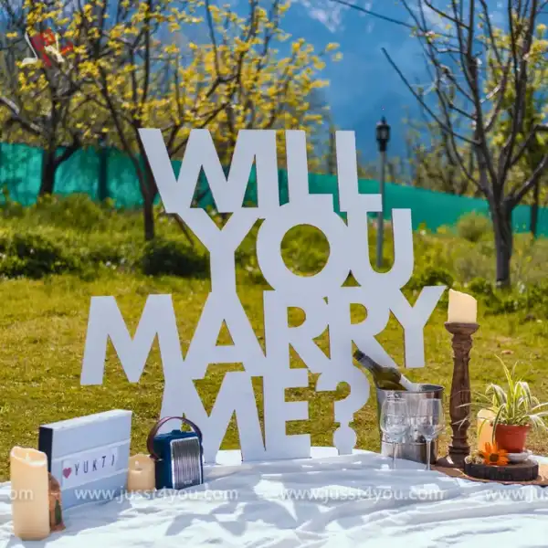Picnic Proposal at Home | Just 4 You Surprise Planners